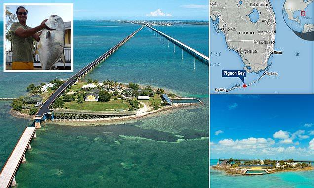 USA travel: Meet the man who has lived on tiny Pigeon Key island off ...