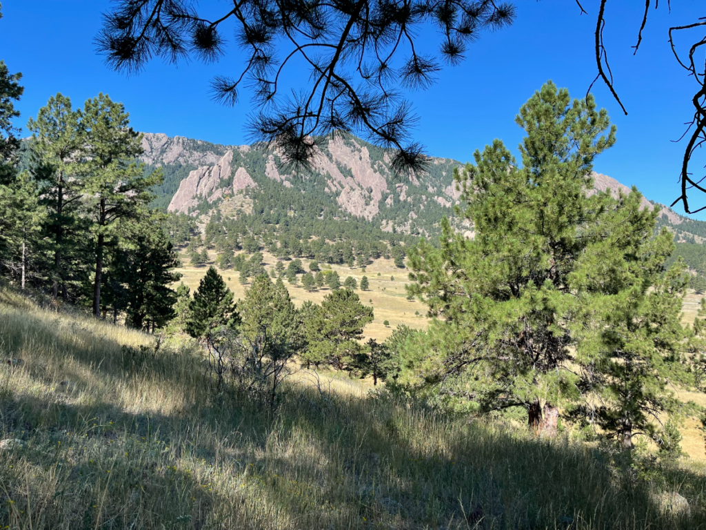 Travel USA: 15 Incredible Things To Do In Beautiful Boulder, Colorado