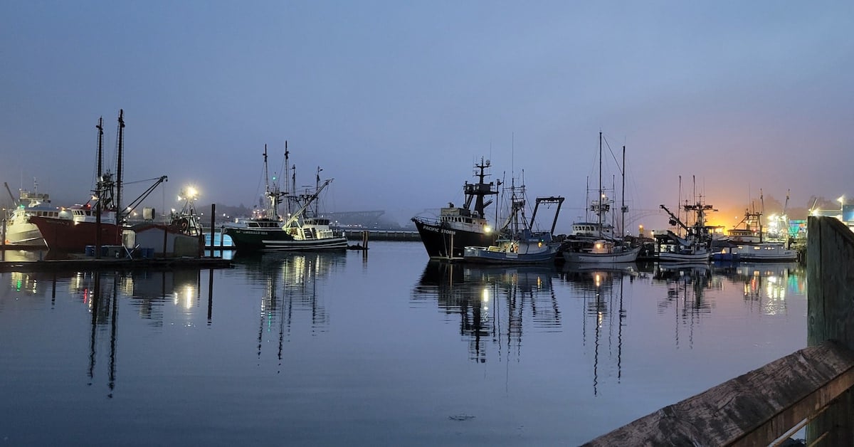 Travel USA: 8 Incredible Stops Along Oregon’s Stunning Coast Highway 101